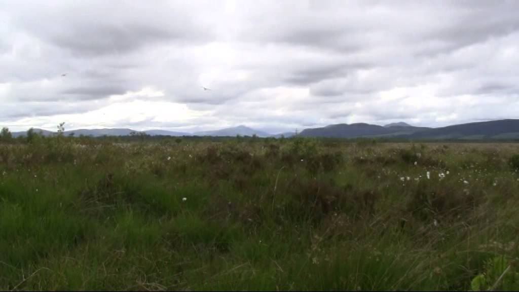 Flanders Moss Nature Reserve Scotland - YouTube