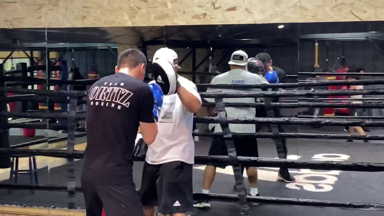 Who has the best bodyshots in boxing - YouTube