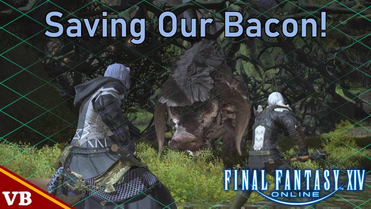 Final Fantasy XIV, Ep. 16: Not So “Boar”-ing Prospects (no commentary ...