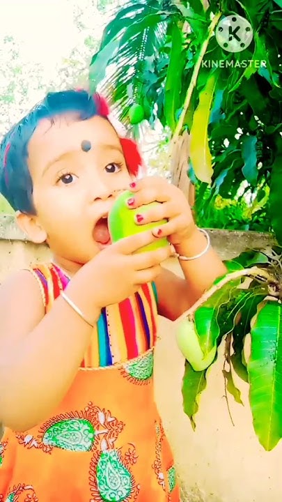 সর্বনাশ 😱গাছ থেকে আম😱খেতে গিয়েএ কি হল😱 Shorts Viralshorts