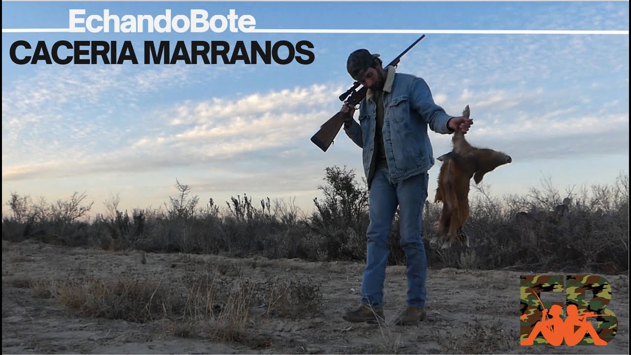 Cacería de Marranos en Coahuila - YouTube