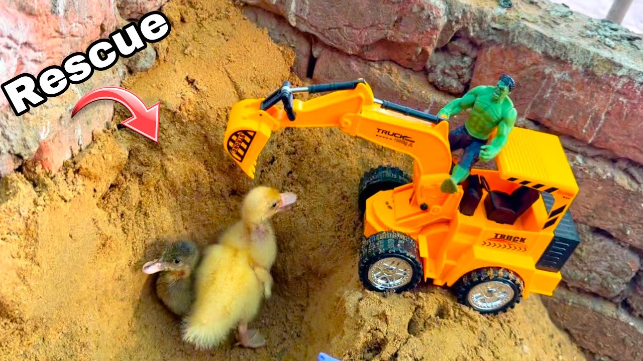 Top most creative Diy mini truck duck chicks Rescue and make animals ...