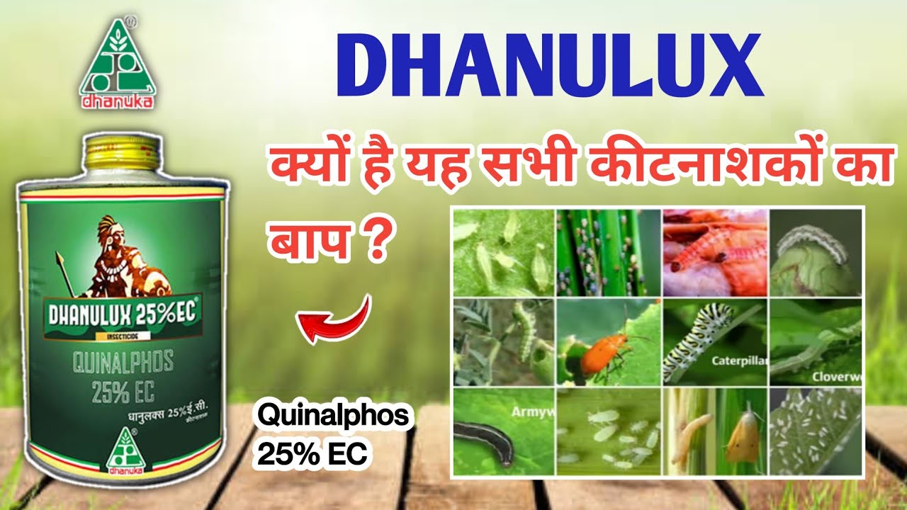 dhanuka dhanulux insecticide | quinalphos 25% e.c. | पूरी जानकारी हिंदी ...