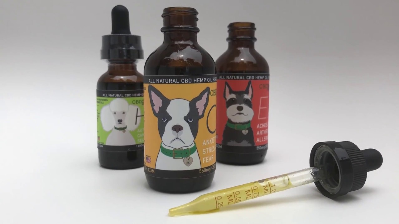 CBD DOG Health Tinctures for Dogs - YouTube