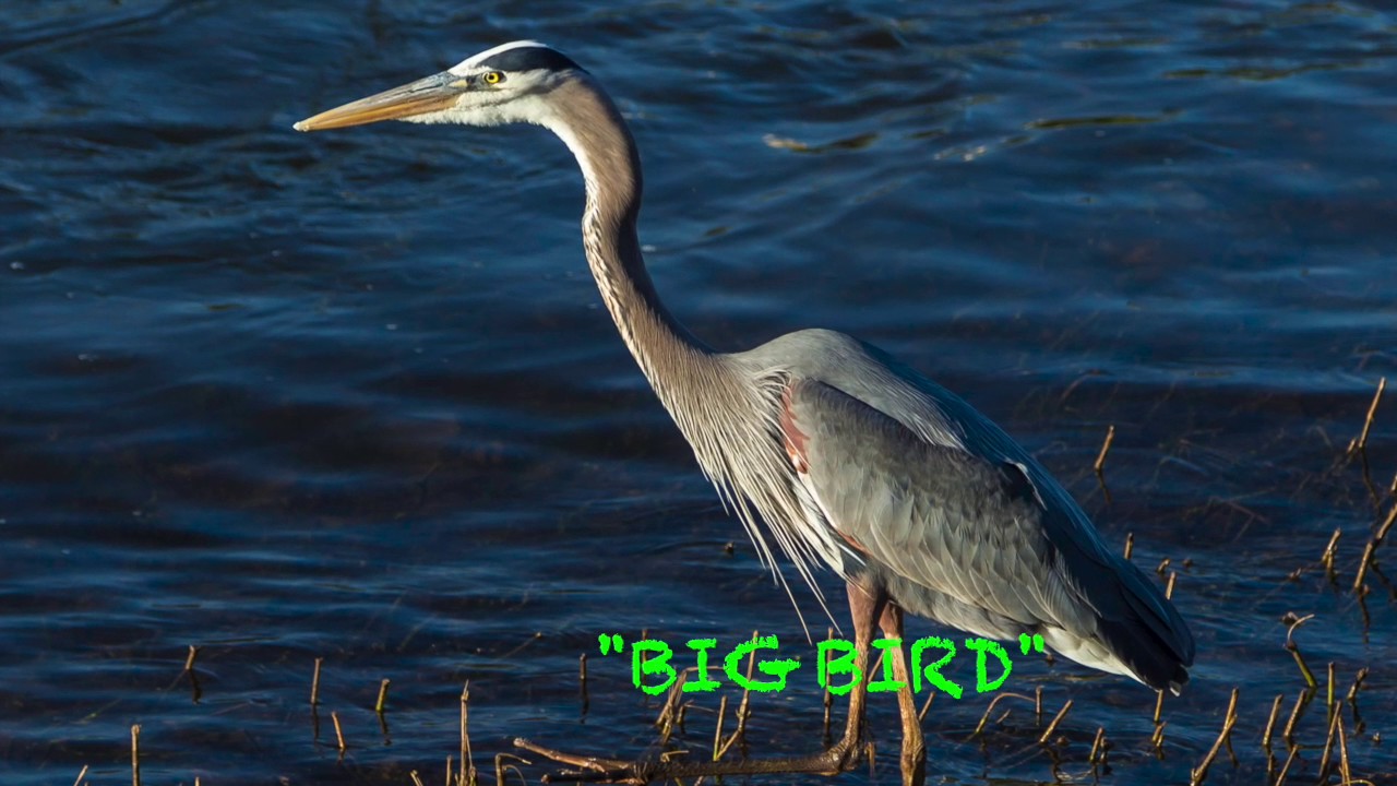 Pond hopper on big lake. - YouTube