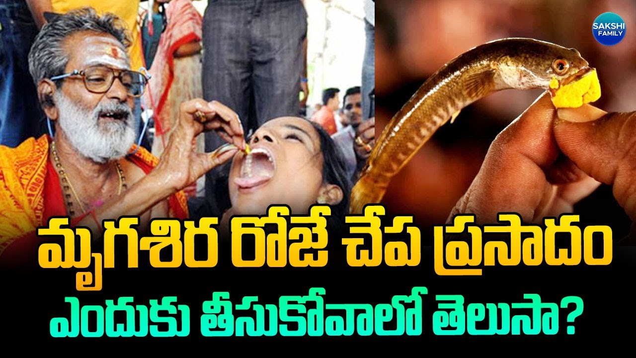 మృగశిర రోజే చేప ప్రసాదం ఎందుకు తీసుకోవాలో తెలుసా? | Chapa Mandu 2025 ...