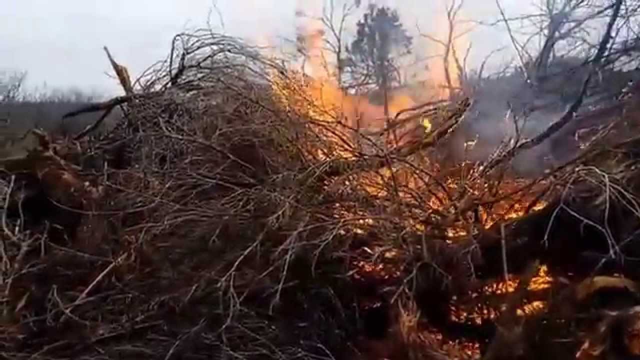Burning Brush 2 - YouTube