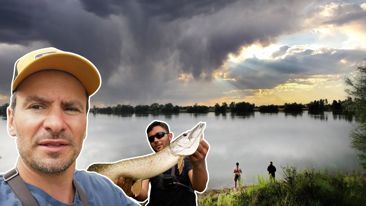 Cet étang perdu était interdit à la pêche … (feat @TIM_FISH ) - YouTube