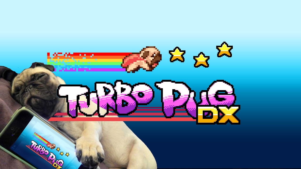 Turbo Pug DX | Pug Puppies | Koş Pug Koş !! | Süper Mario ! PC Game ...