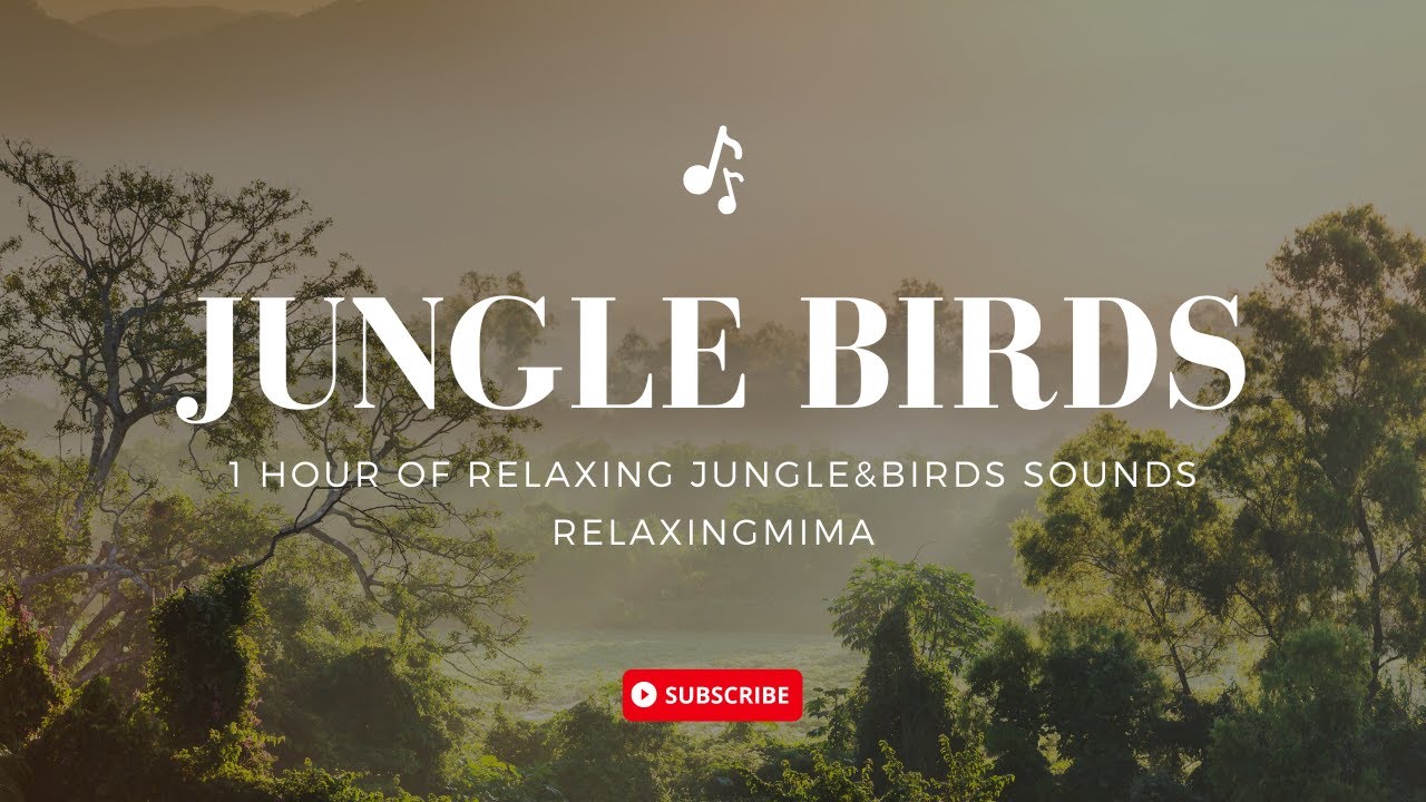 Relaxing MIMA - ASMR 1 hour of relaxing jungle and bird sounds. - YouTube