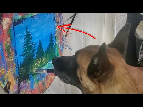 Monkey - The Painting Dog
