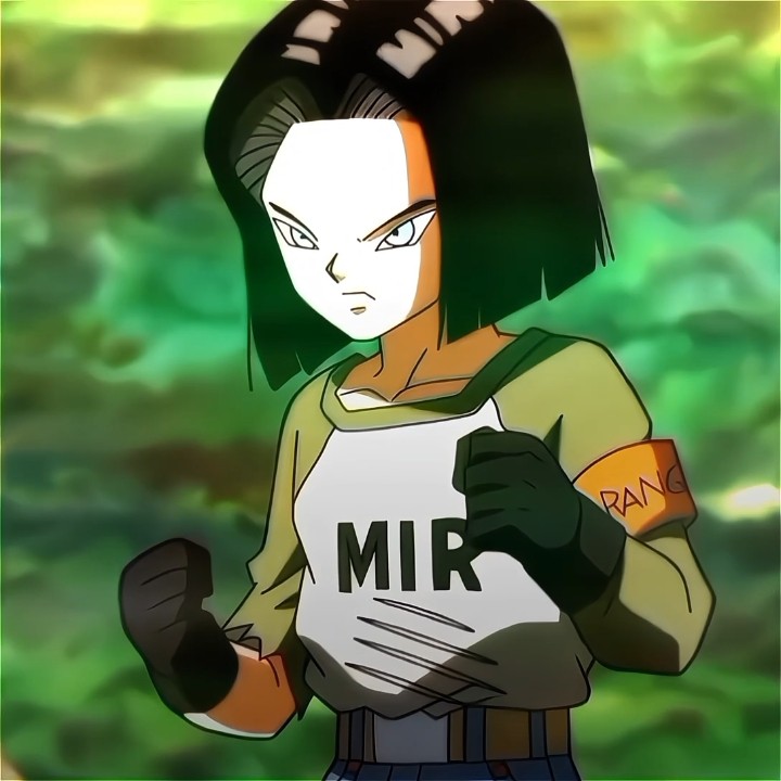 Who Did That? | DBS Android 17 Edit | Metamorphosis Interworld X Ravens ...