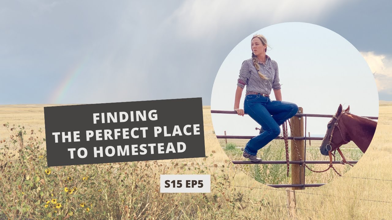 S15: E5: The PERFECT Place to Homestead - YouTube