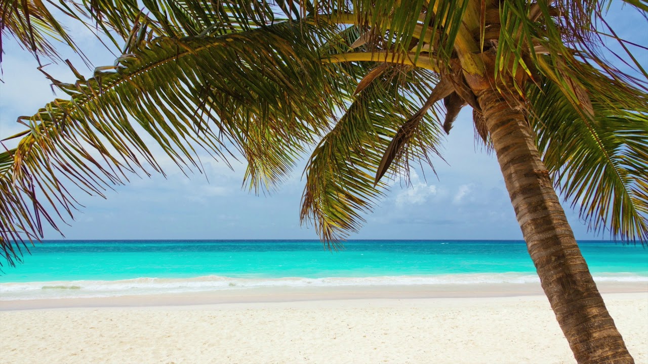 The Daily Uplift - Body Awareness Relaxation - YouTube