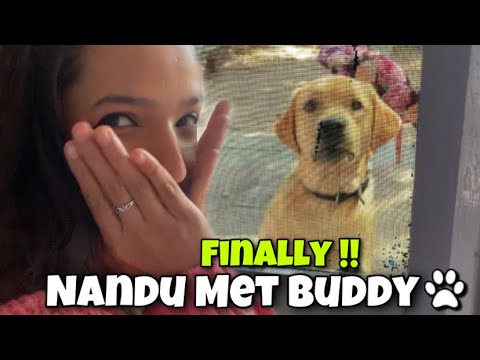Nandu Met Buddy 🐾👧🏻 | Morning Cycling 🚲 | Shub Nandu Buddy | Three ...