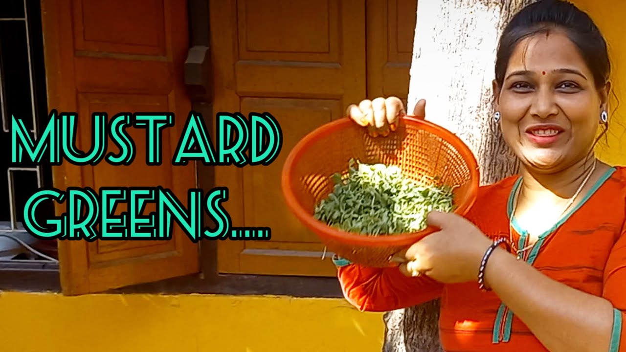 Mustard Greens | Sarso Ka Saag | Kitchen gardening | Easy preparation ...