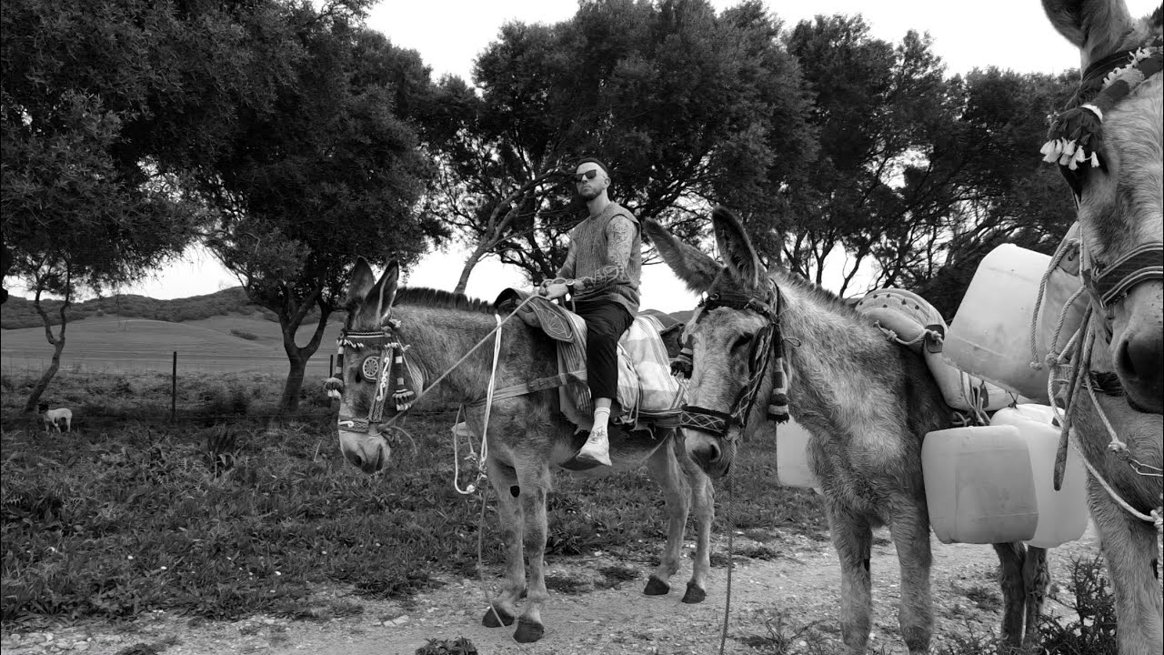 GLESS - MULA - YouTube