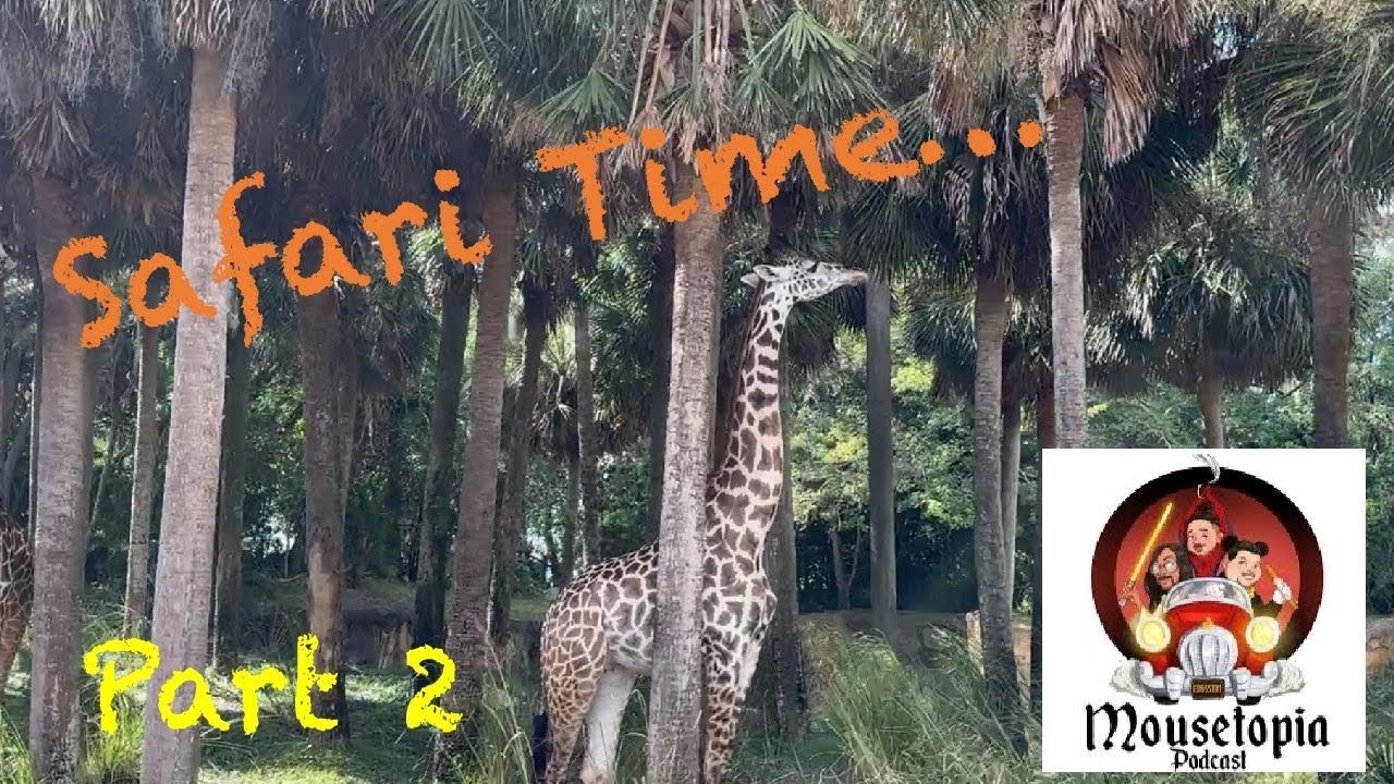 Mousetopia Crew WALT DISNEY WORLD Trip Day 6- Disney Animal Kingdom ...