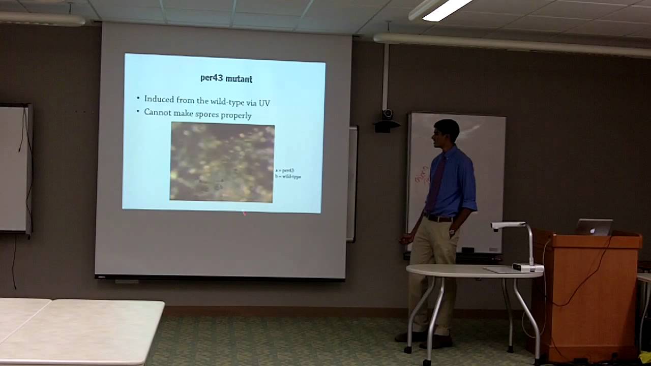 Nick Grewal HSHSP Research Presentation - YouTube