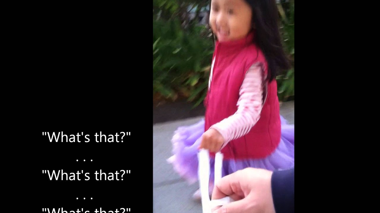 Princess Pumpkins Youtube