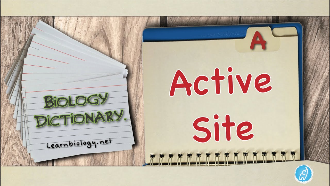 Biology Definitions | Active Site | Biology Dictionary | Defining ...