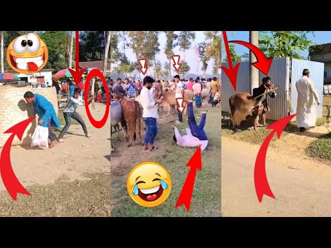 Try Not to Laugh Challenge – Funny People Fails! 🤣 - YouTube