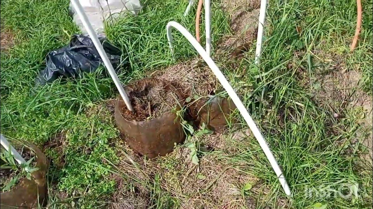 ЯРОСЛАВЛЬ ДЕРЕВЕНСКИЕ БУДНИ ТЁПЛЫЕ ГРЯДКИ КАК ДЕЛАТЬ ПЕРЕЕЗД ИЗ ГОРОДА ...