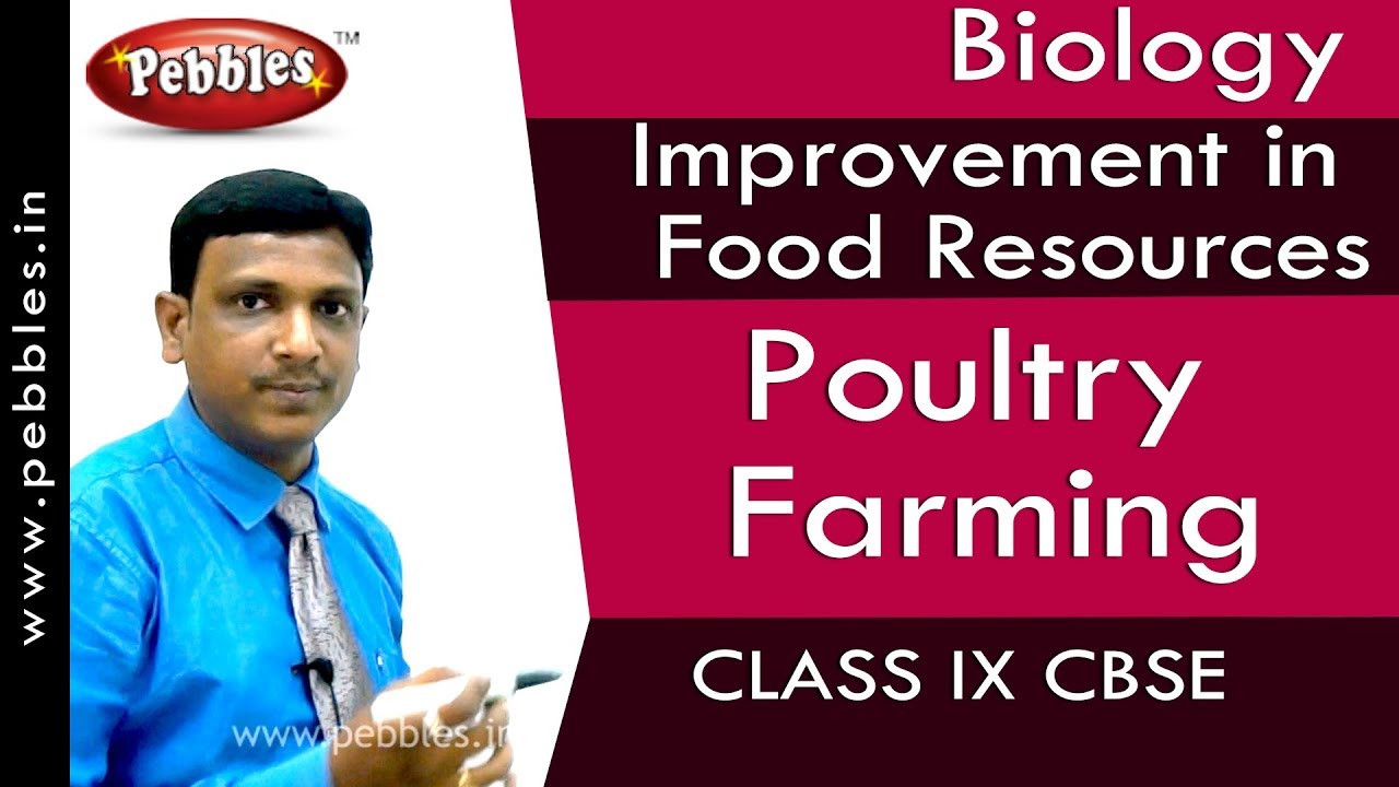 Poultry Farming : Improvement in Food Resources | Biology | Class 9 ...