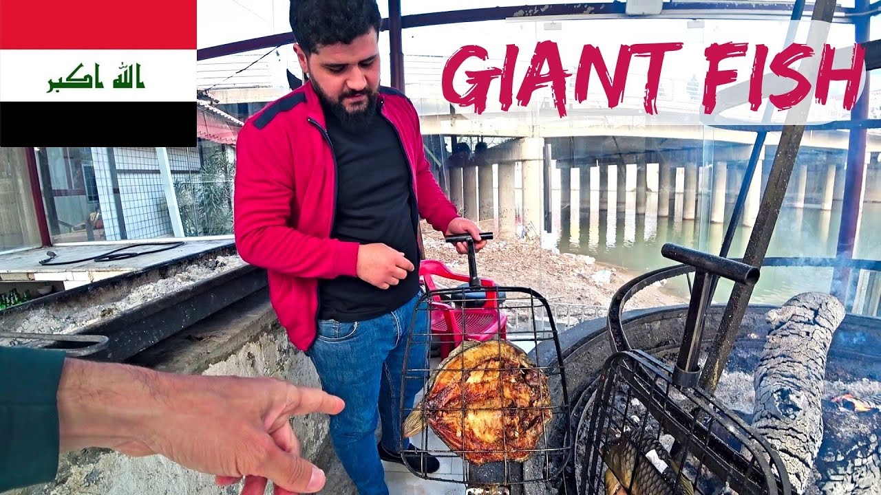 Eating a giant fish in Iraq 🇮🇶 mE 45 - YouTube