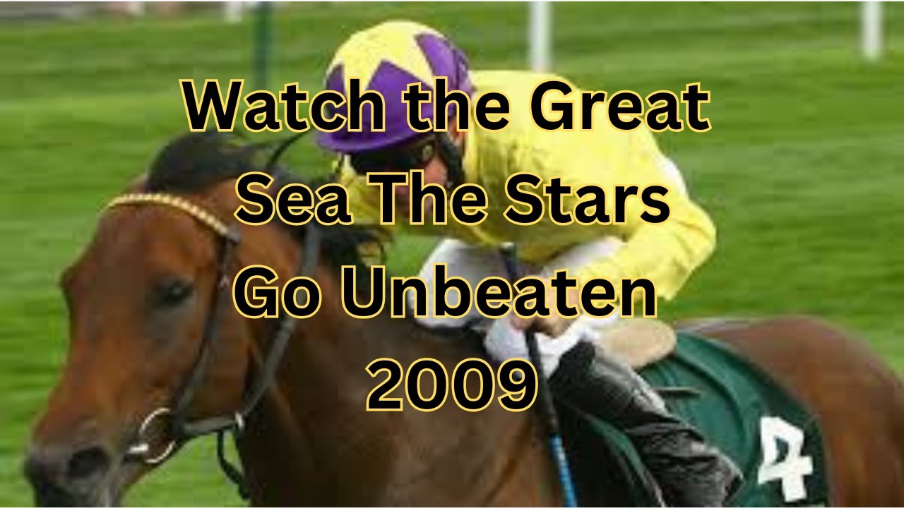 Sea The Stars: The Legendary Racehorse Who Conquered 2009 - YouTube