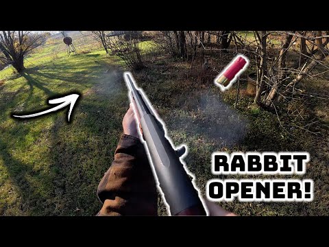 HUNTING  RABBITS with BEAGLES | FAST action !!!