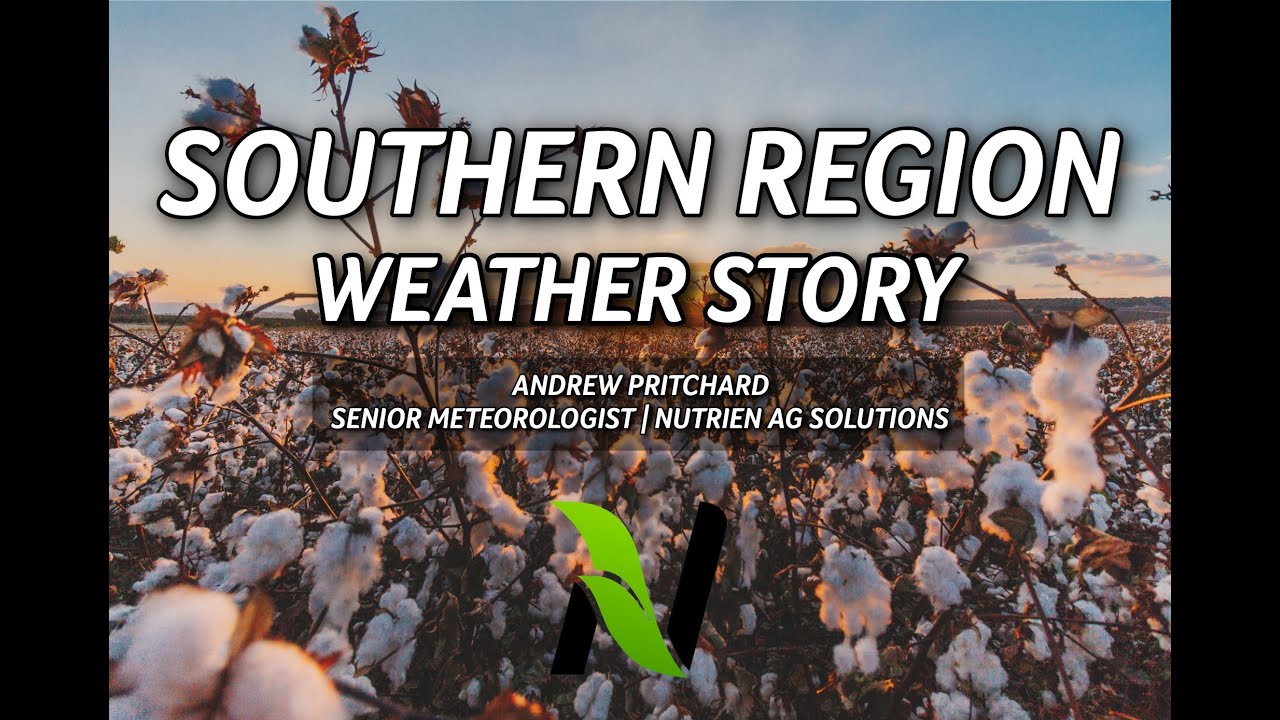 Southern Region Weather Story - Jan 12, 2021 - YouTube