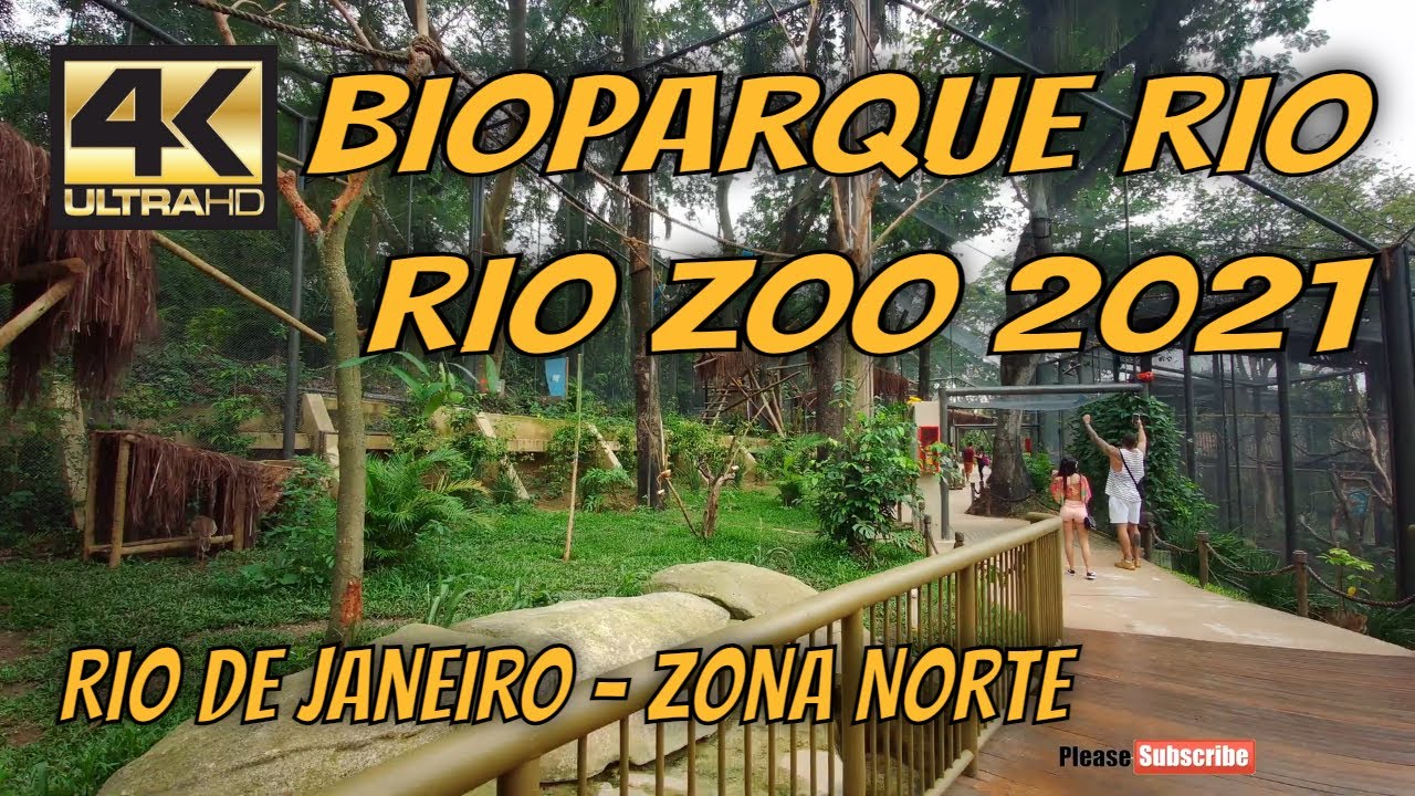 【4K】🏃 BIOPARQUE RIO | Zoo of Rio de Janeiro | Rio de Janeiro by Car ...