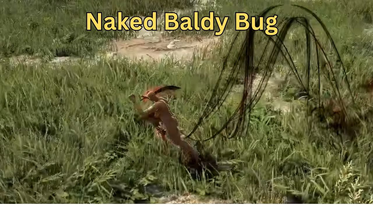 BDO | A bug that makes you naked, bald, and probalby dead - YouTube