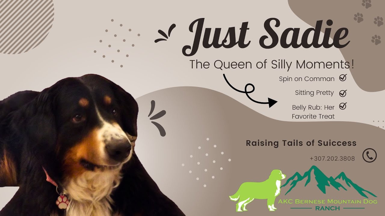 Just Sadie: Queen of Silly Moments - YouTube
