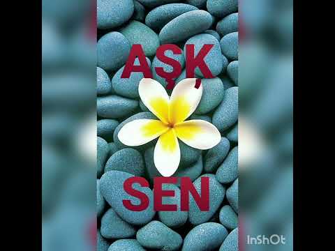 Aysun İsmayilova Alin yazim