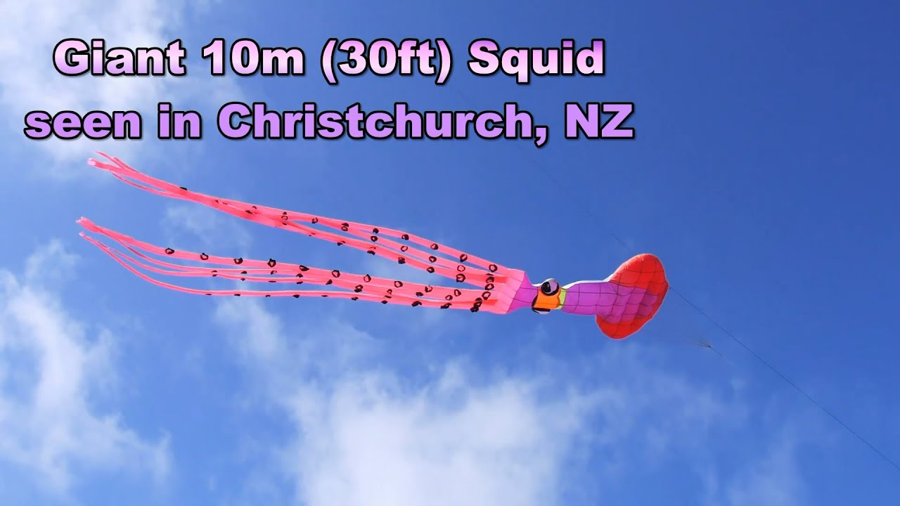 Giant Squid (kite) seen in Christchurch, NZ - YouTube