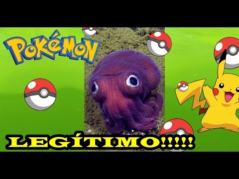 NOVA ESPÉCIE DE POKÉMON LULA COM OLHOS ARREGALADOS CHAMA A ATENÇÃO DE ...