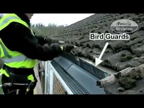 Installing our Bird Guard System - YouTube