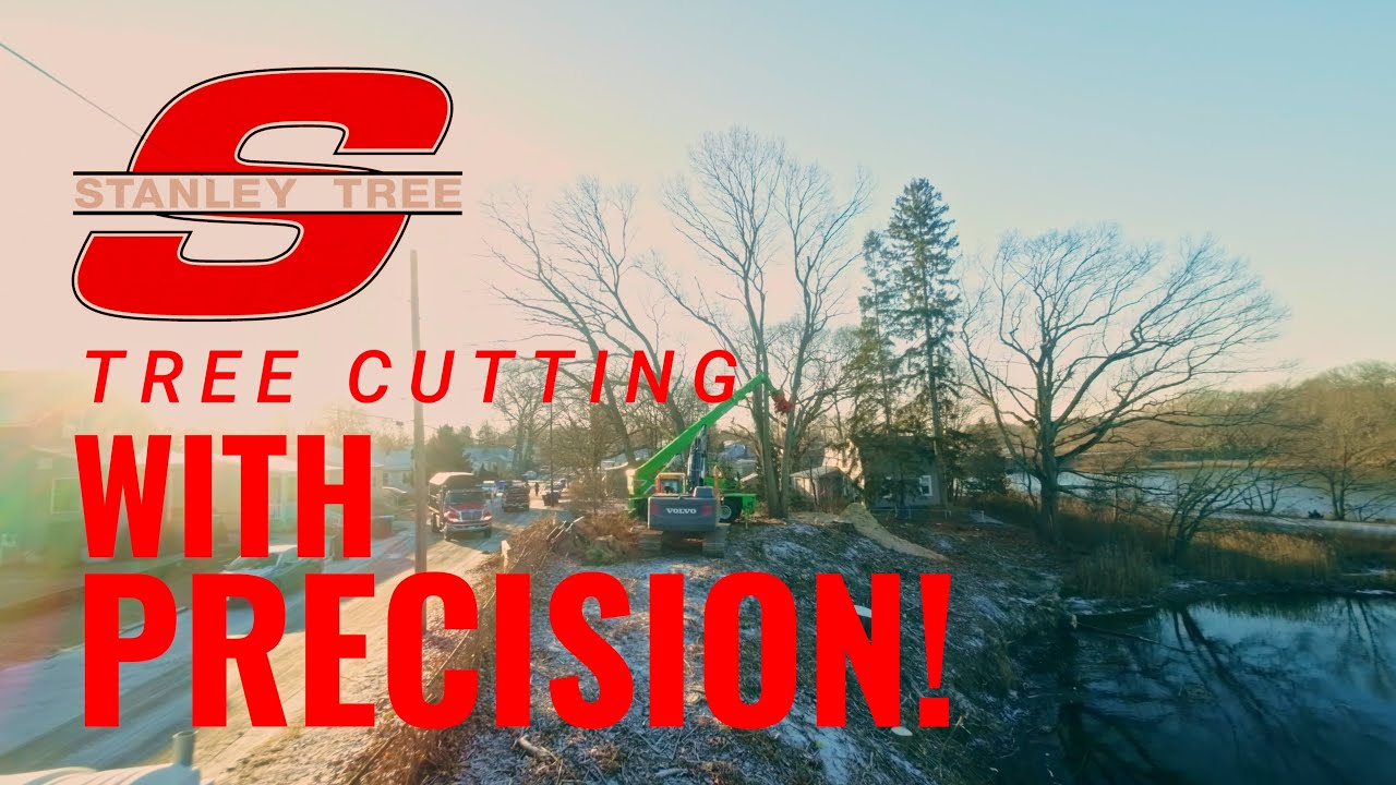 STANLEY TREE SERVICE - YouTube