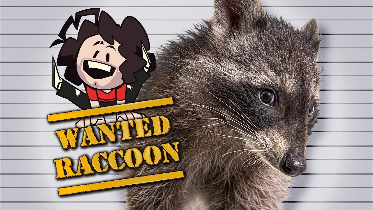 The best Ford F-150 commercial ever made | Wanted Raccoon [2] - YouTube