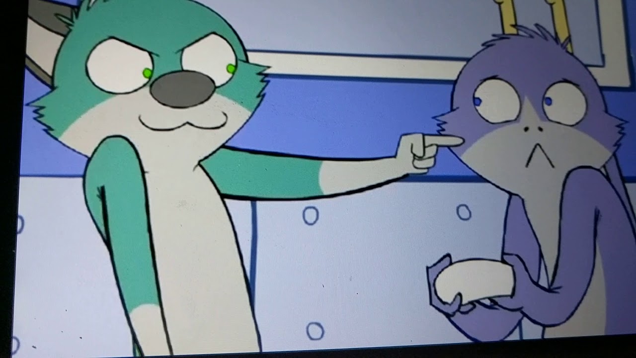 Samantha the Cat Zaps Sheen - YouTube