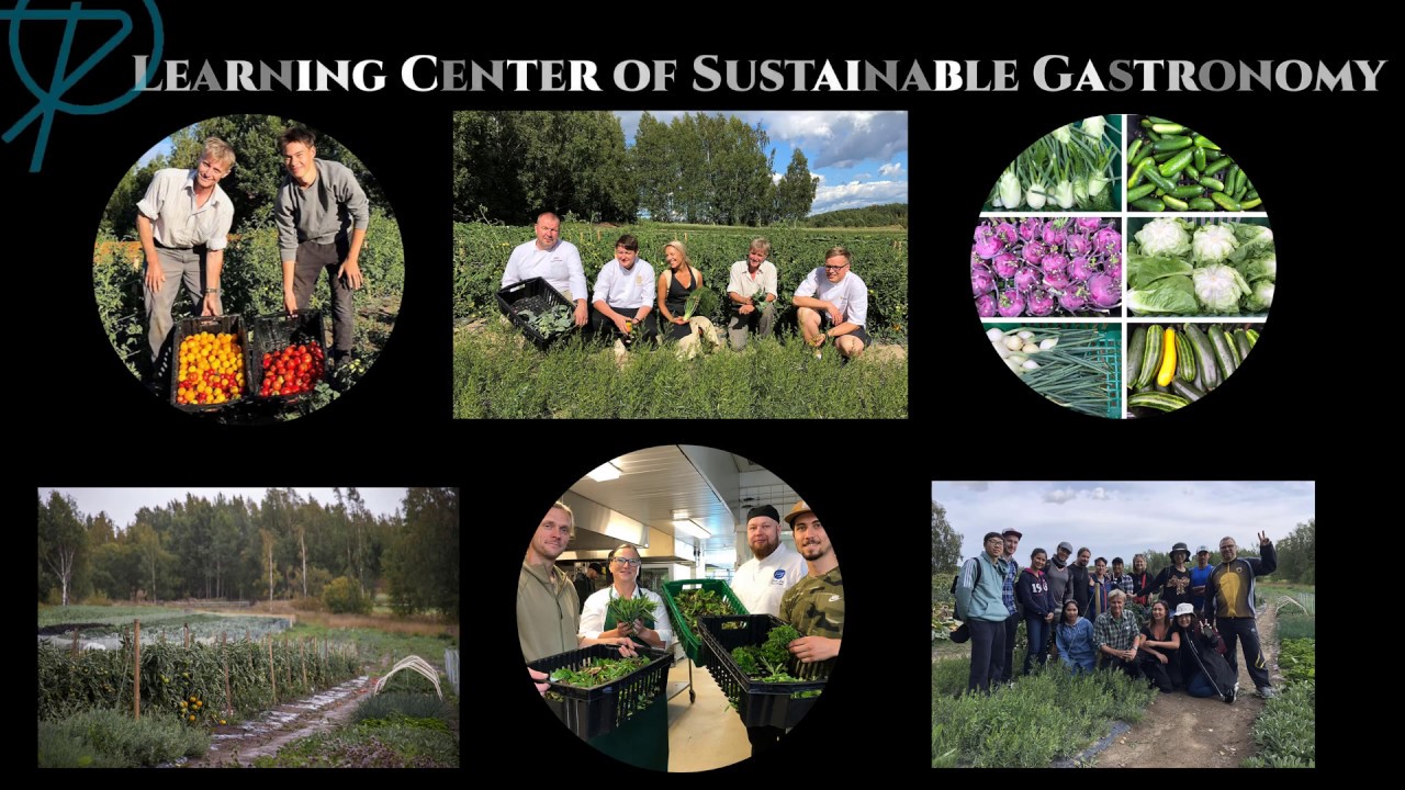 Introduction to Green City Farm and Sustainable Gastronomy - YouTube