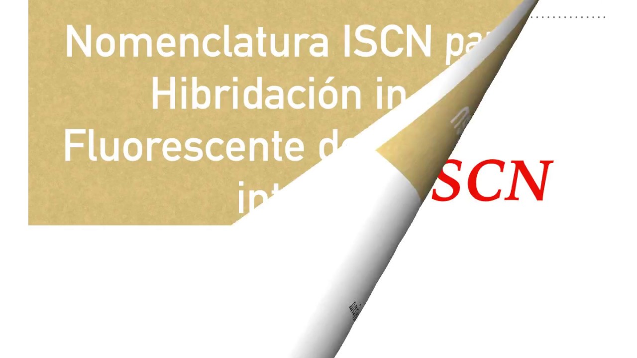 ISCN 2016 FISH - YouTube
