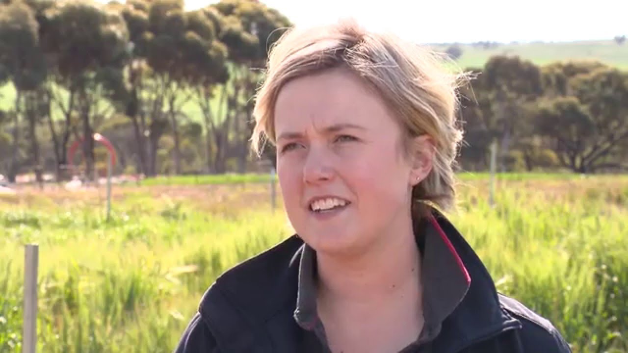 Georgia Trainor MyCrop Barley Variety Selector | Department of ...