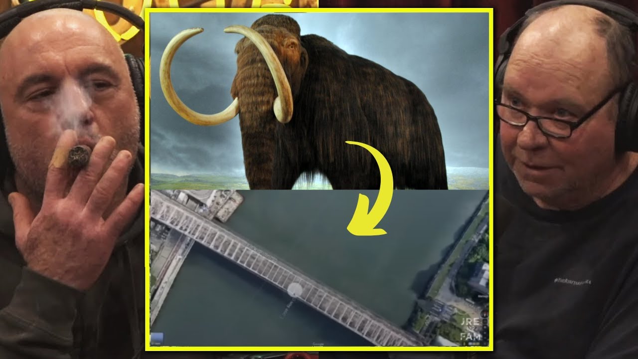 Joe Rogan: SECRET Location With 50 Tons Of WOLLY MAMMOTH TUSKS Revealed ...