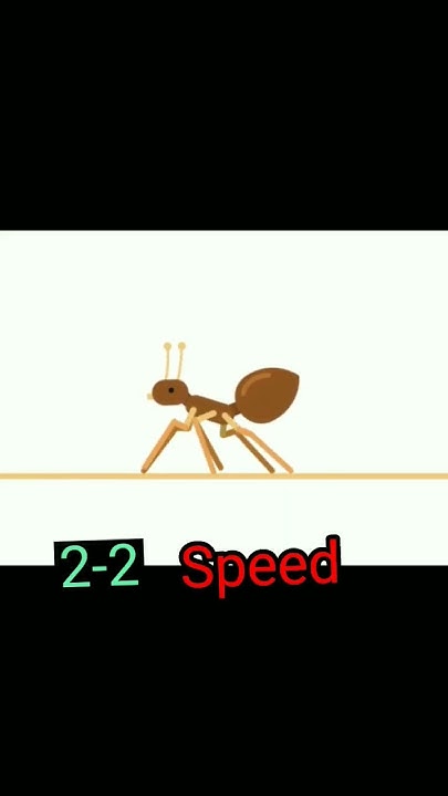Ant vs Spider comparison - YouTube