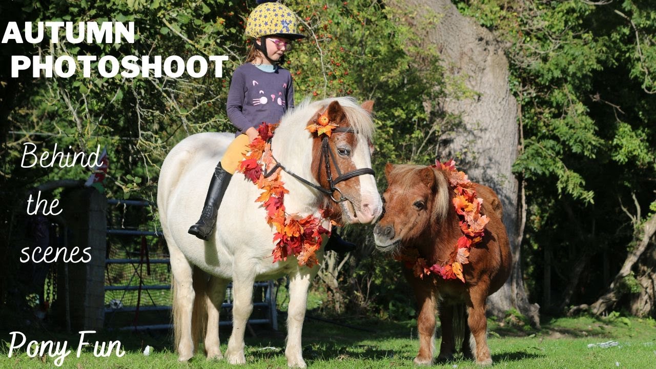 Autumn Photoshoot - Equestrian Photoshoot Behind the scenes | Pony Fun ...