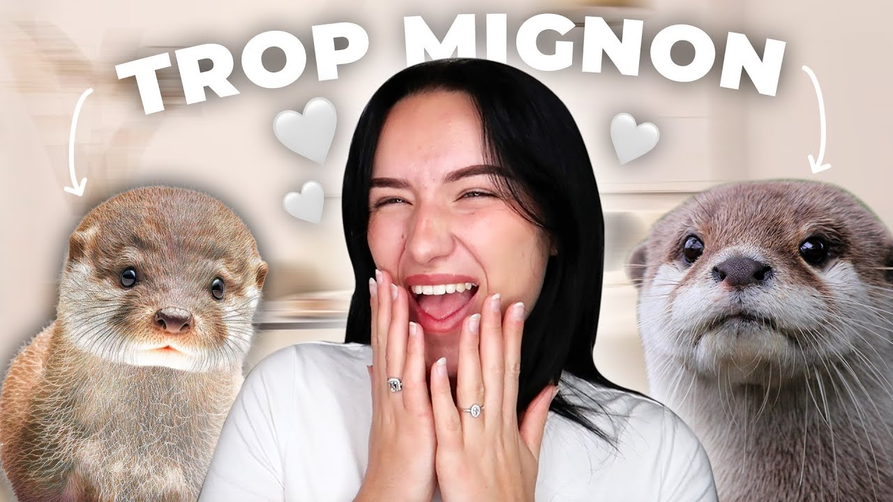 JE TESTE UN BAR À LOUTRES À TOKYO ! (Tu vas craquer, vraiment...) - YouTube