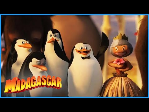 DreamWorks Madagascar | Sixty Nine Years? | Madagascar 3: Europe's Most Wanted | Kids Movies